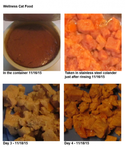 Pet Food Experiment Results – Truth about Pet Food