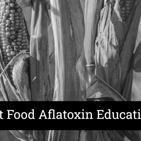 Aflatoxin: the Cause of 100,000 Cases of Liver Cancer Per Year – Truth ...