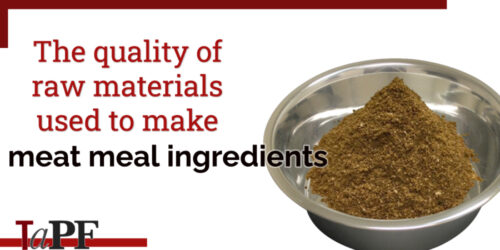 The Disgusting Truth of Rendered Pet Food Ingredients – Truth about Pet ...